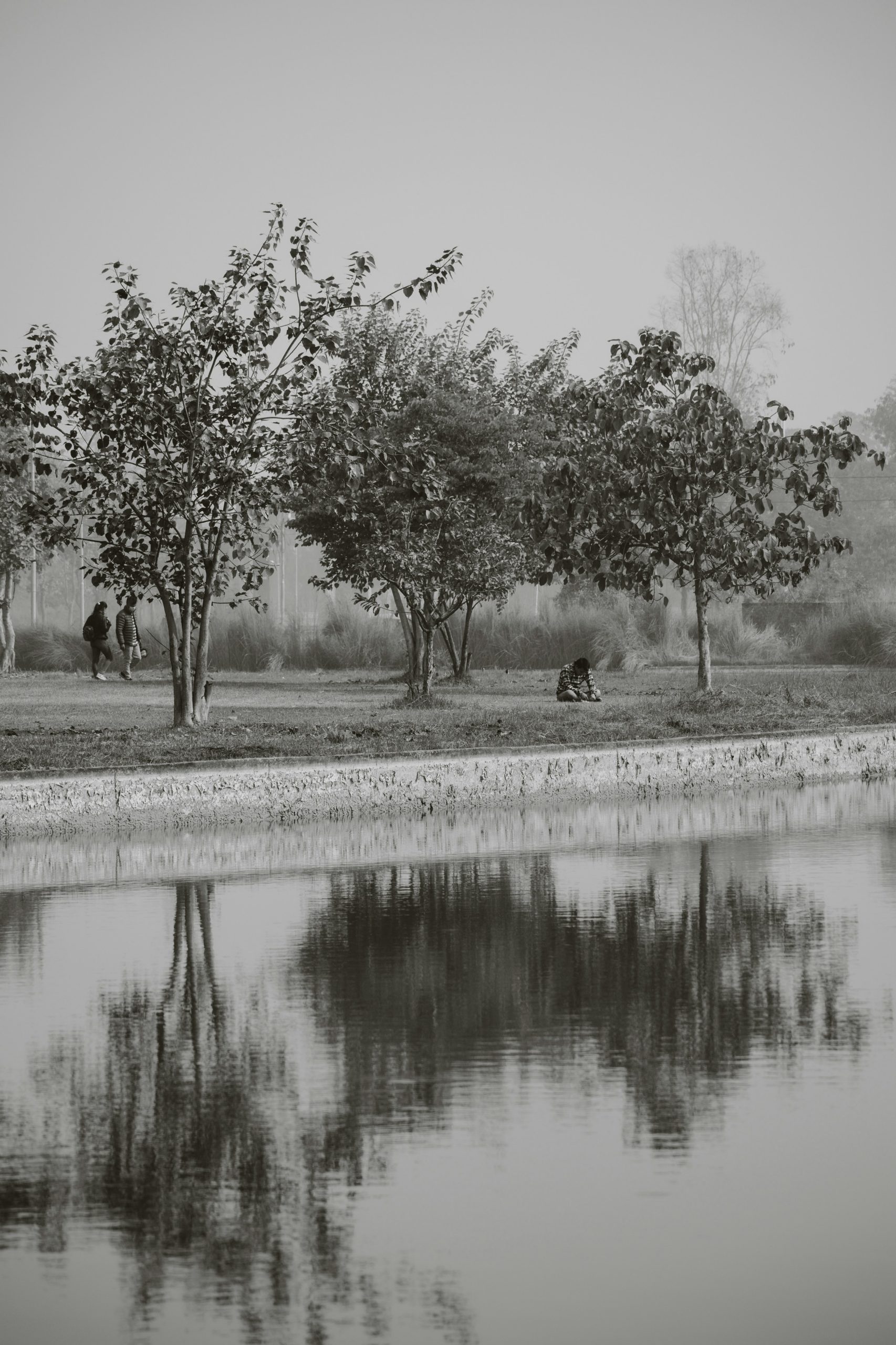 Evolve and Elevate: Problems vs Situations, Who can reach God’s home ...